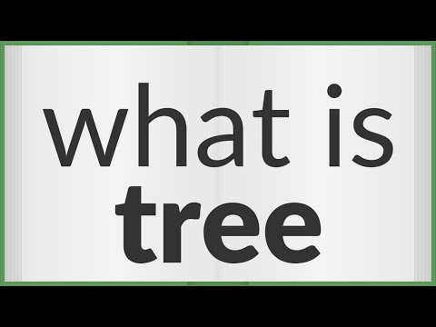 Tree | meaning of Tree