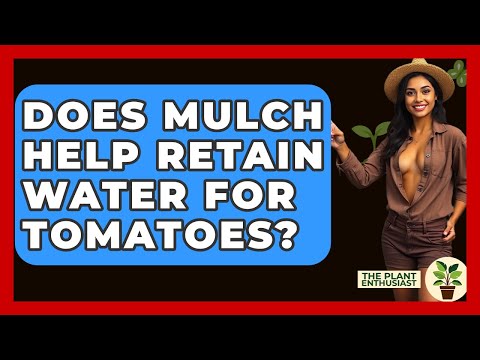 Does Mulch Help Retain Water For Tomatoes? - The Plant Enthusiast