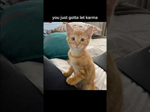 Jail ππ... #trending #funny