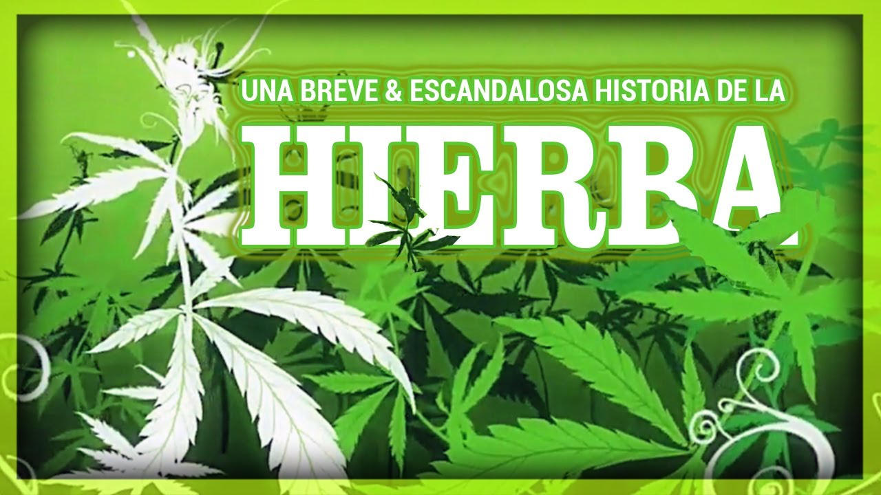 Una BREVE & Escandalosa HISTORIA de la MARIHUANA