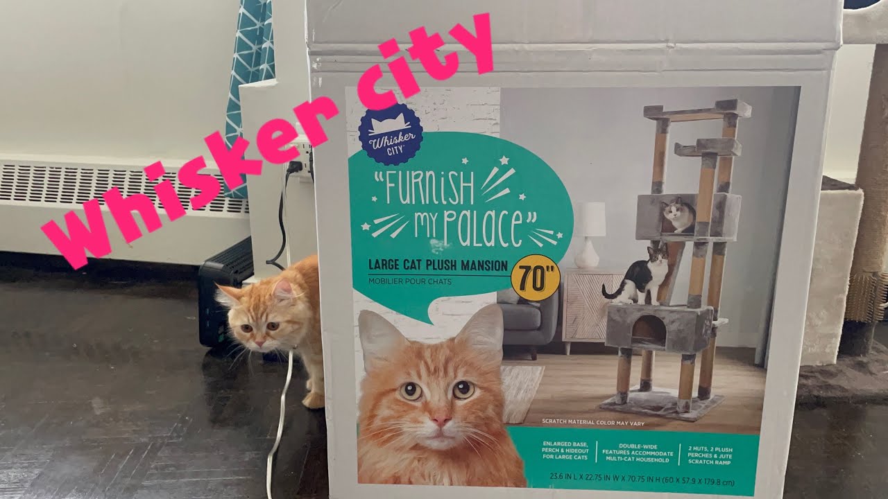 Tallest cat tree | cheapest cat tree | Whisker City 70 inch Cat tree/condo