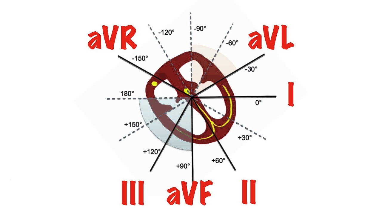 Cardiac Axis in 5 min