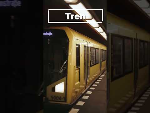 Word of the day: Tren - Train