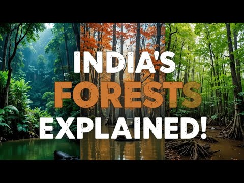 The Geography of India’s Forests: Tropical, Deciduous, and Mangroves Explained!