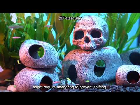 Review: Aquarium Cave Decor for Shrimp & Betta – Is It Worth the Investment?