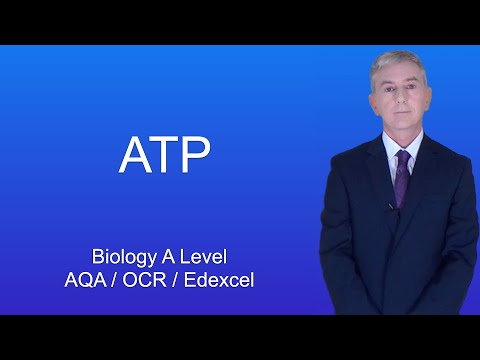 A Level Biology Revision "ATP".