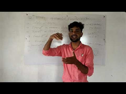 12biology Chemical evolution of life