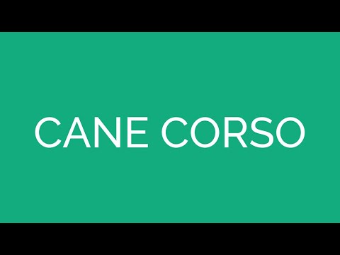 How To Pronounce Cane Corso