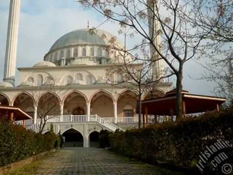 The Bazaar by Richard Lawson/Figtree Renaissance