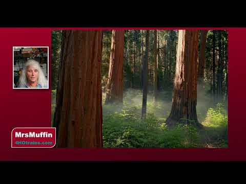 MrsMuffin talks about the latest in HO Trains for 4HOtrains.com