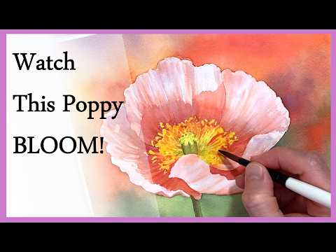 My FAVORITE Techniques for Soft Petals with Detail: How I Paint a Watercolor Poppy Step-by-Step