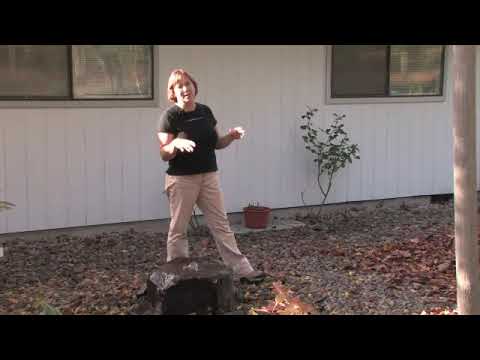 Creating a Japanese Zen Garden