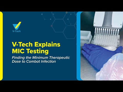 V-Tech Explains MIC Testing: Finding the Minimum Therapeutic Dose to Combat Infection
