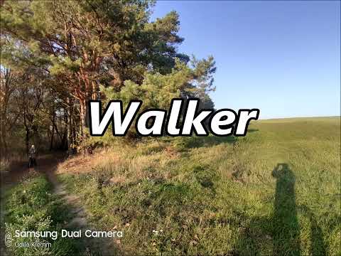 WALKER as a family name its meaning and origin