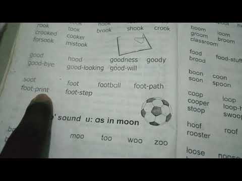 Easy English words having /oot/ in them