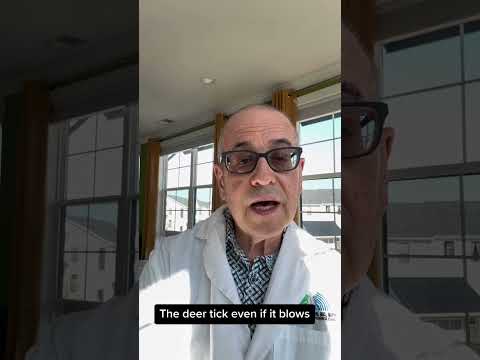 How can I tell it is a deer tick. Q&A. #lyme