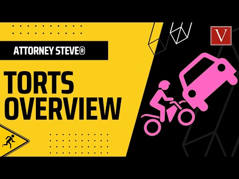 Attorney Steve® Torts Overview