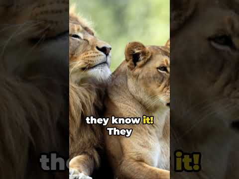 Leo Dark-Side Personality Traits #leo #youtubeshorts