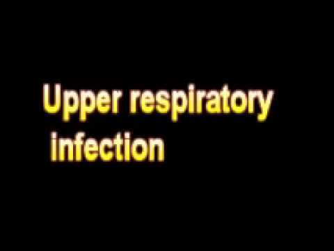 What Is The Definition Of Upper respiratory infection Medical School Terminology Dictionary