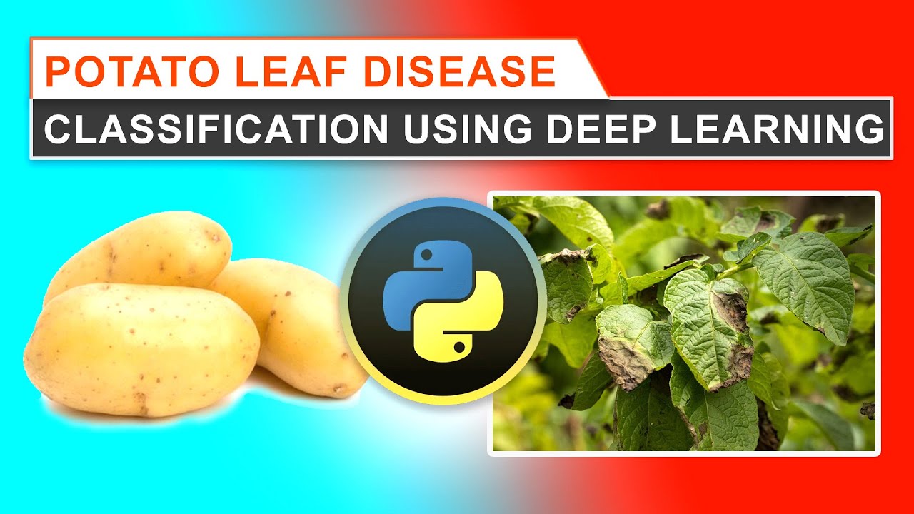 Potato Leaf Disease Classification Using a Deep Learning Approach