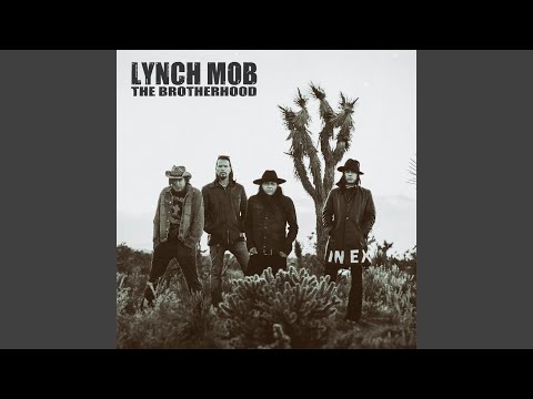 Dog Town Mystics