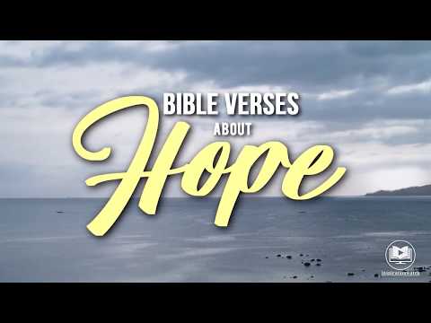 Bible Verses About Hope Hope Scriptures