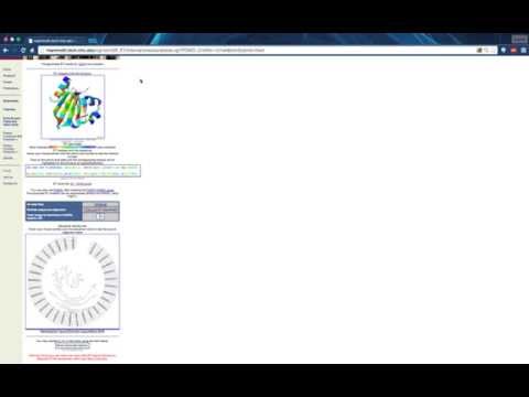 PDB Entry and Result Overview