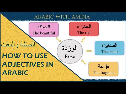 Arabic Adjectives - All You Need to Know