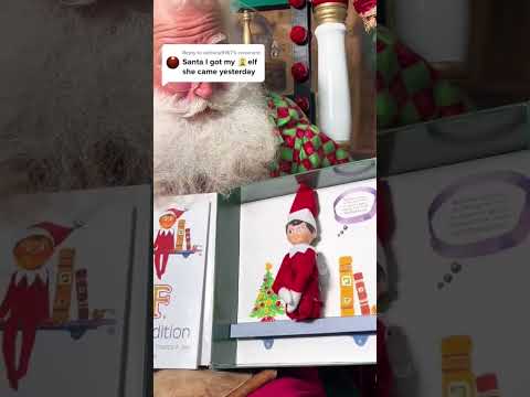 Santa’s Elf on the Shelf! ✨