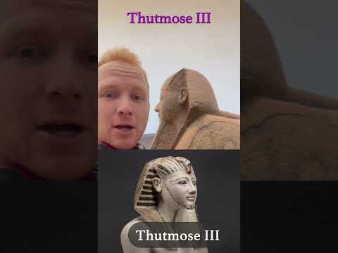 The Sphinx of Hatshepsut #egypt #temple #sphinx #hatshepsut #short