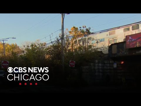 Metra UP-N train delayed after pedestrian hit