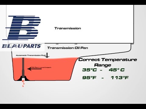 How To Check and Fill VW Passat Transmission Fluid aka VW Passat ATF Level Aisin 6 Speed 09M