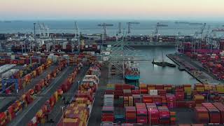 Osa Collaborative Visibility Platform | Reviews, Pricing & Demos ...