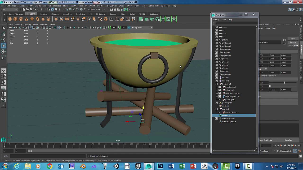 ANI 255 Cauldron Video 02