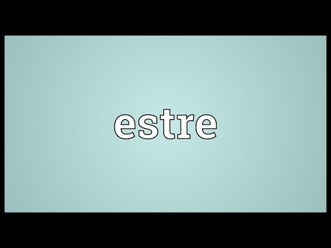 Estre Meaning