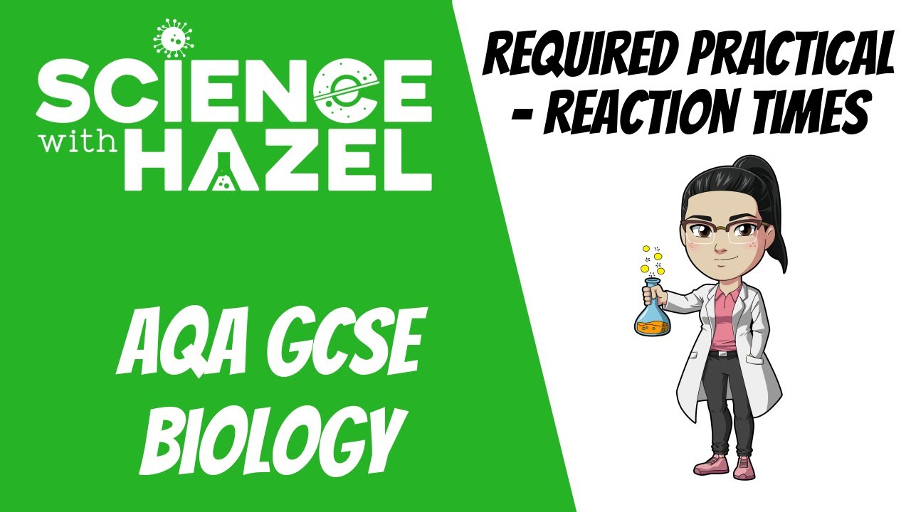 AQA GCSE Biology Required Practicals: Reaction Times | GCSE Biology Revision