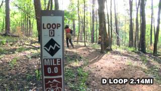 3 Best Hiking Trails in Tyler, TX - Expert Recommendations