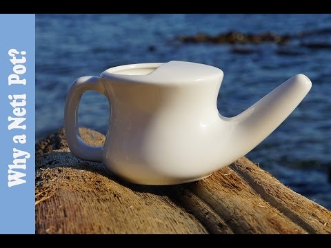 Neti Pot at Best Price in India