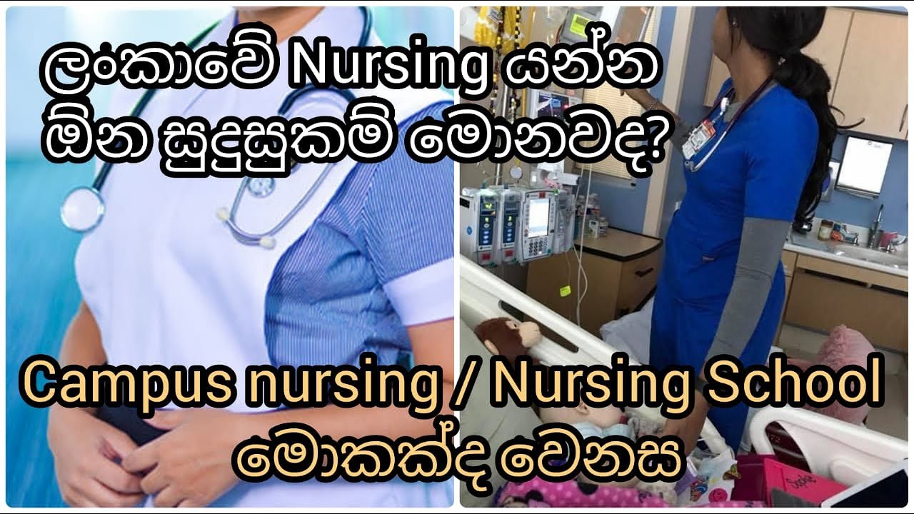 Diploma In Nursing || Uni Life || #sinhala #nursing #srilanka