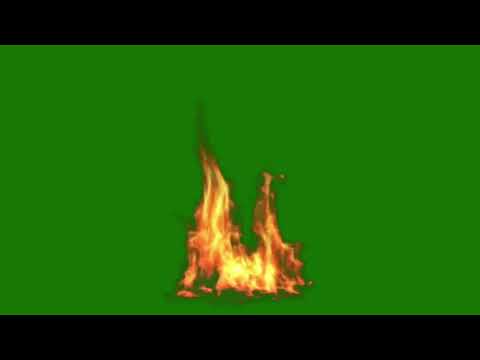 торговые сигналы трейдеру форекс