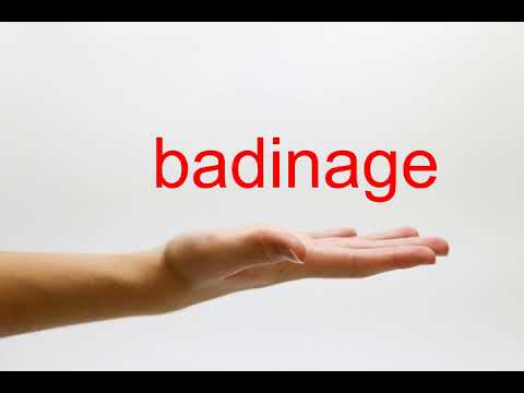 How to Pronounce badinage - American English