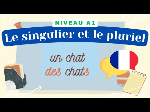 Le singulier et le pluriel - Leçon de français (Niveau A1) - Cours de grammaire
