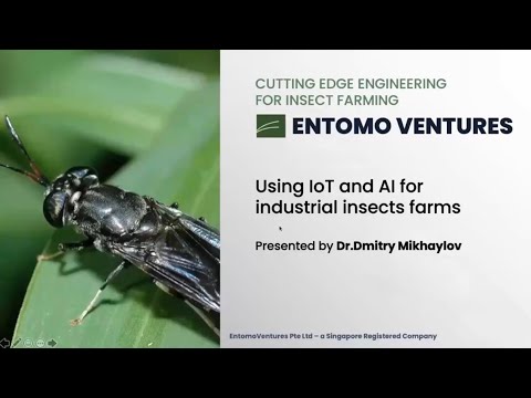 IoT and AI for insect farming