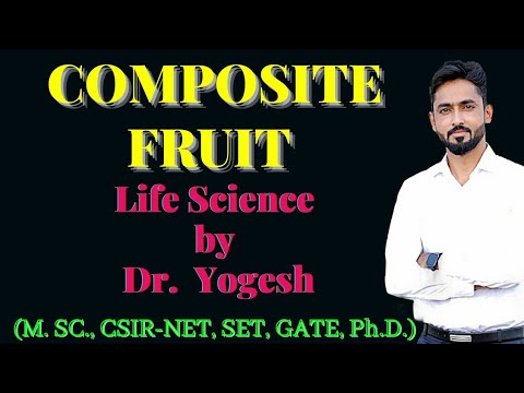 Composite Fruit | Flowering Plants | Explained by Dr. Yogesh
