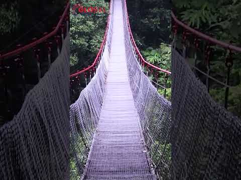 Vancouver Tourist Attractions | The Most Beautiful Places to Visit in Vancouver 2024