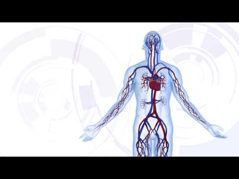 Introducing: TM FLOW SYSTEM