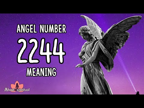 Angel Number 2244 Meaning: a Teacher and a Mentor