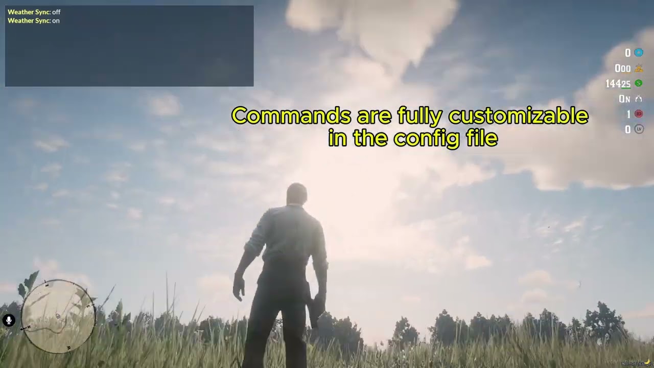 RedM Script - PyThor Timer