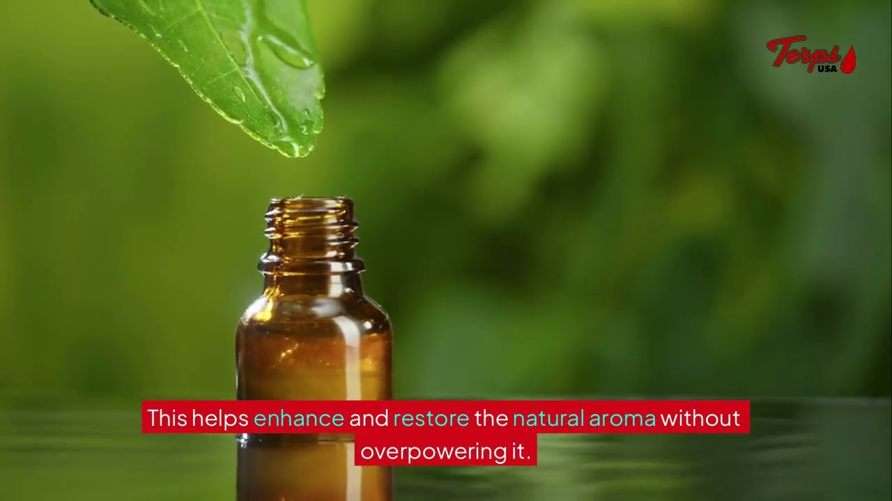 How Terp Spray Enhances Strain Aroma in Flower? – Terps USA®