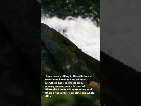 Walk with nature | poem | poetry | rhymes | writer | forest | travel